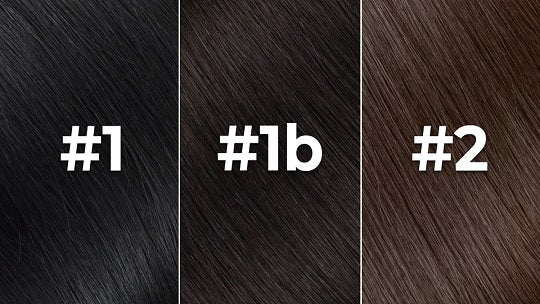 1 VS 1B VS 2 Hair Color, What Is The Difference? – Cynosure Hair